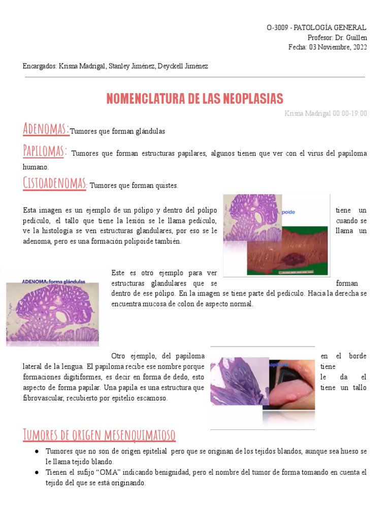 Nomenclatura de Las Neoplasias | PDF | Cáncer | Neoplasias