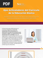 Estructura Curricular - Ejes Articuladores Plan 2022 | PDF | Plan de estudios | Pensamiento