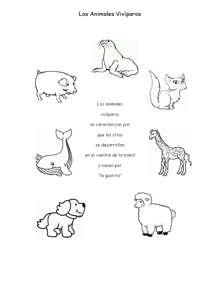 Los Animales Vivíparos | PDF