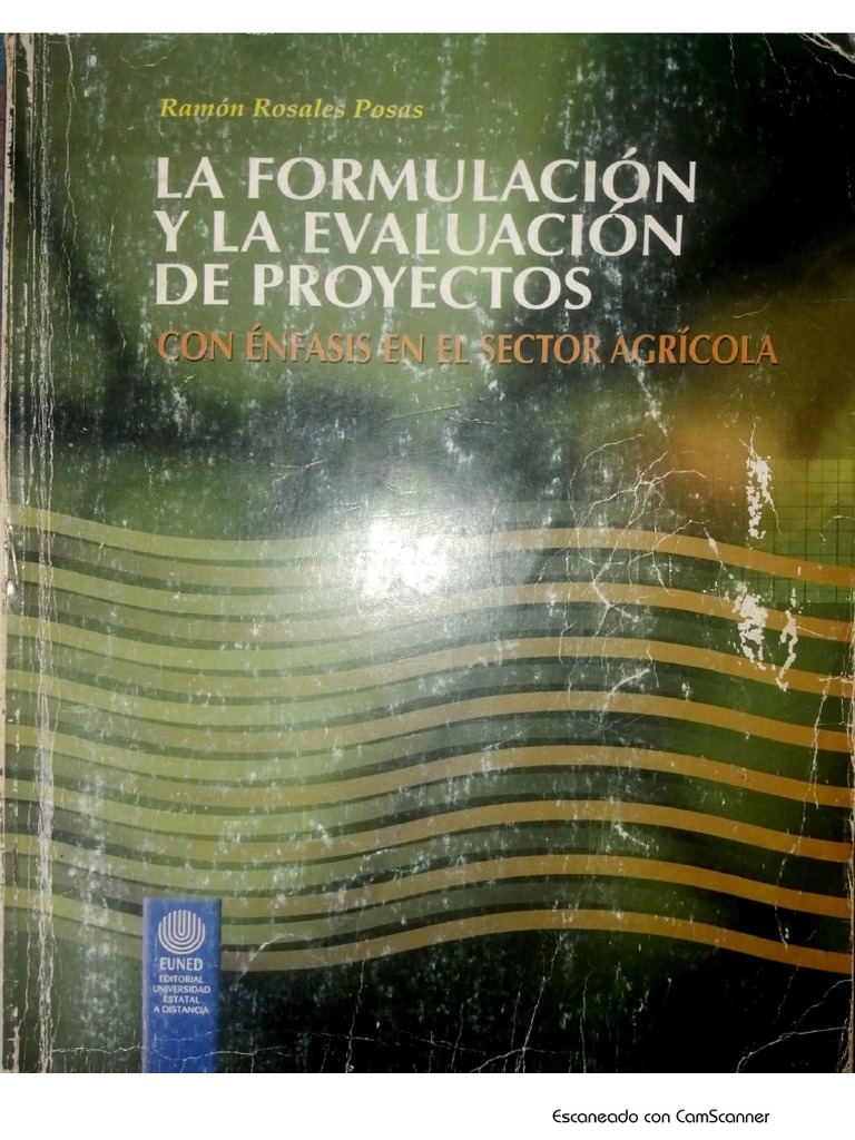 Formulacion Y Evaluacion De Proyectos Pdf 6442