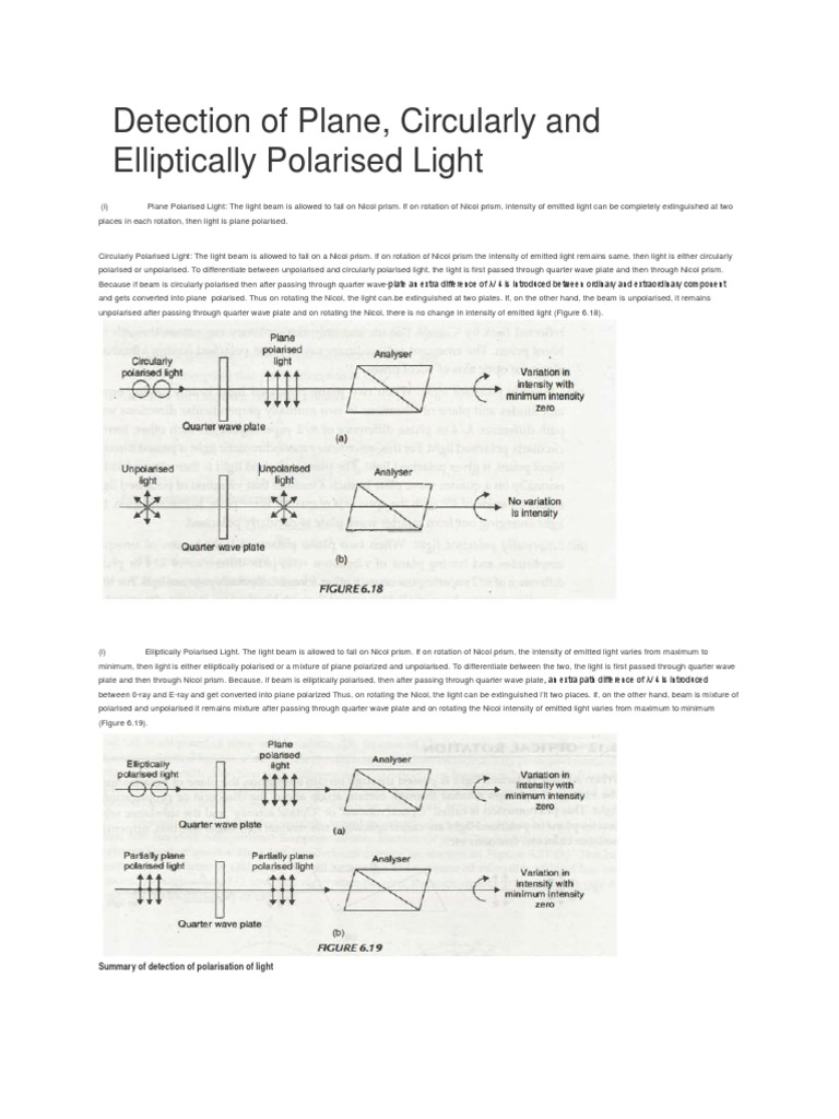 Detection of Polarized Light | PDF