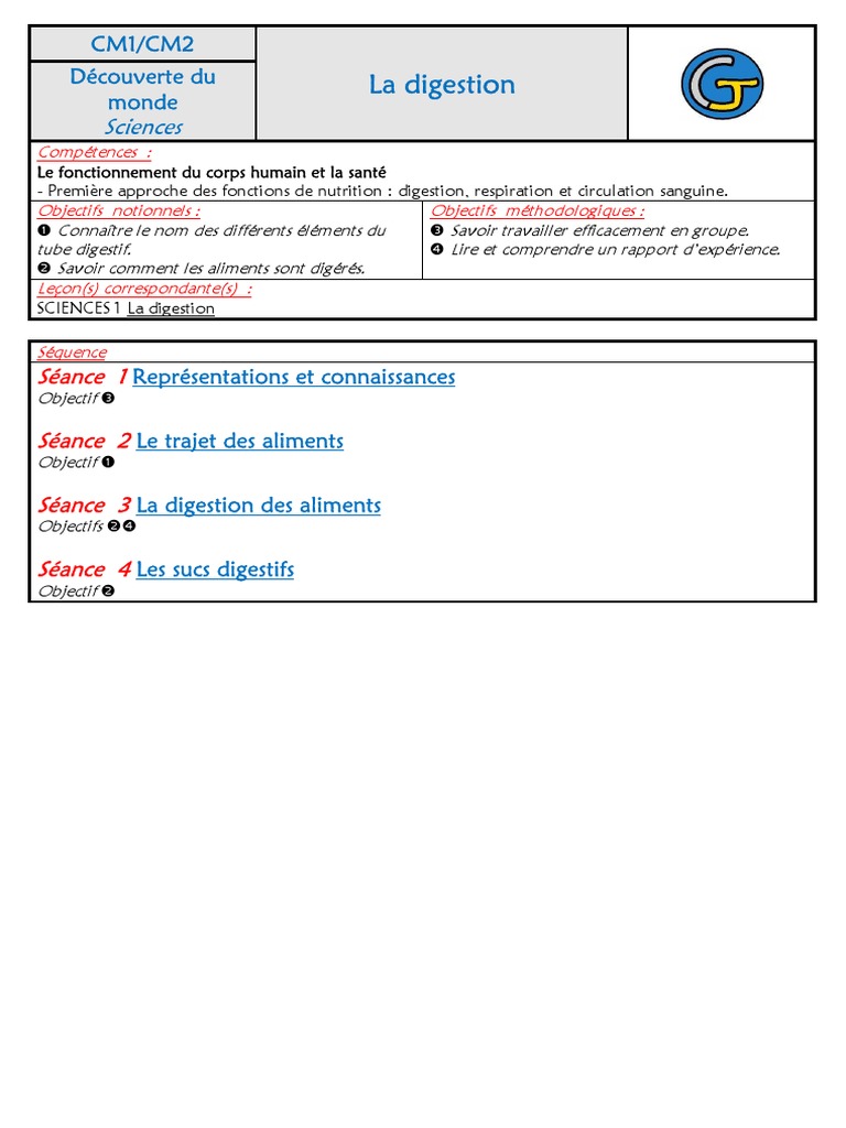 La Digestion Fiche de Preparation | PDF | Estomac | Viande