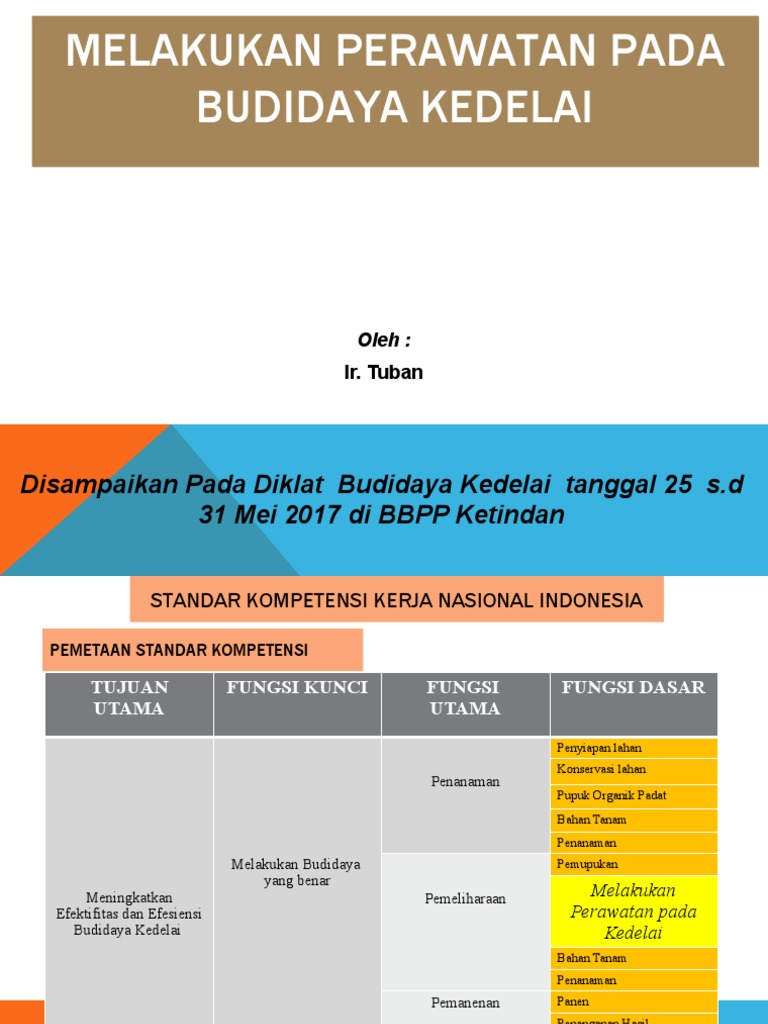 Perawatan Kedelai | PDF