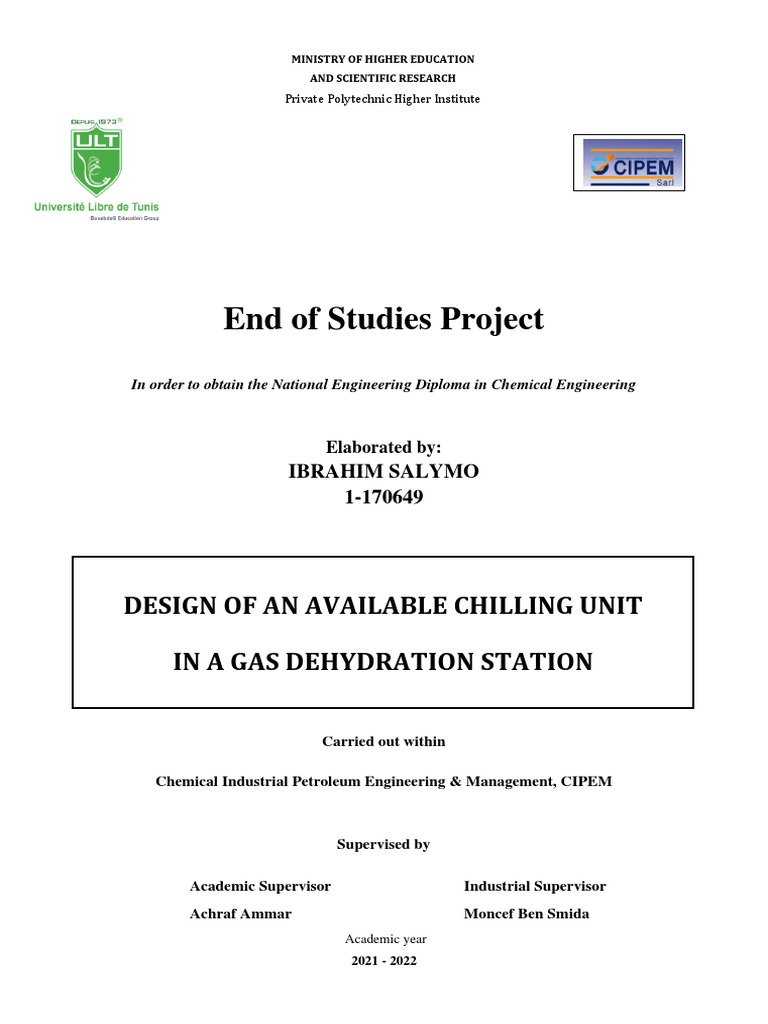 Rapport PFE Final | PDF | Natural Gas | Gases