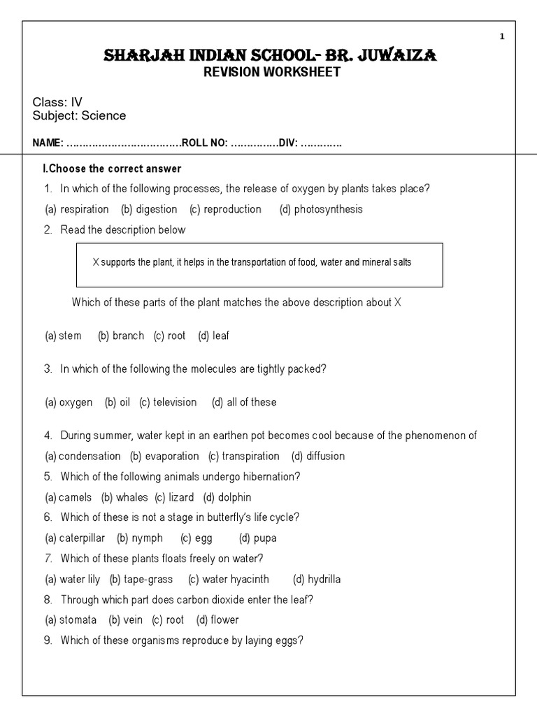 04-Science Revision Worksheet | PDF | Leaf | Plants