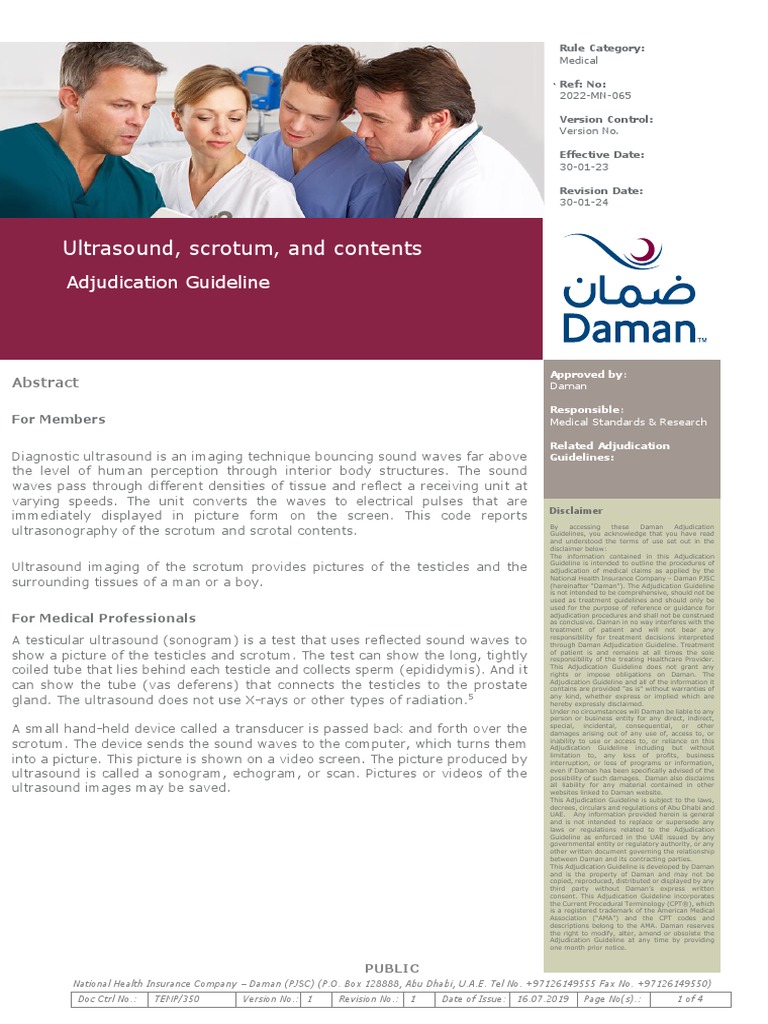 Ultrasound, Scrotum and Contents - External | PDF