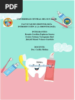 Rotafolio Salud BucaL | PDF | Higiene oral | Diente