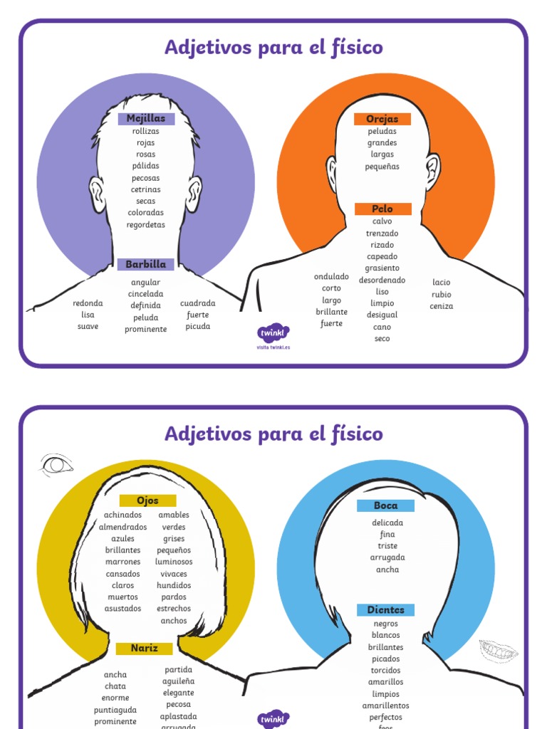 Adjetivos para describir las características físicas | PDF | Cabeza y ...