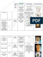 Endodontic Canal Configuration Guide | PDF | Tooth | Dental Anatomy