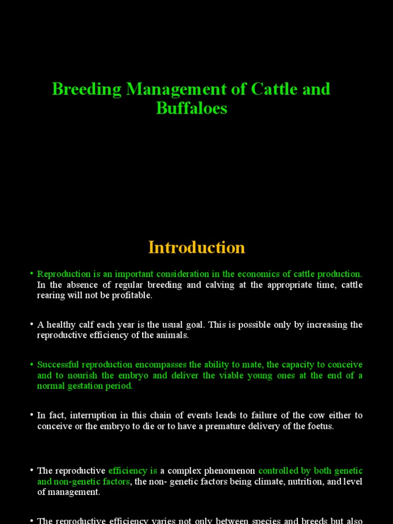Breeding Management of Cattle and Buffaloes | PDF | Calf | Natural ...