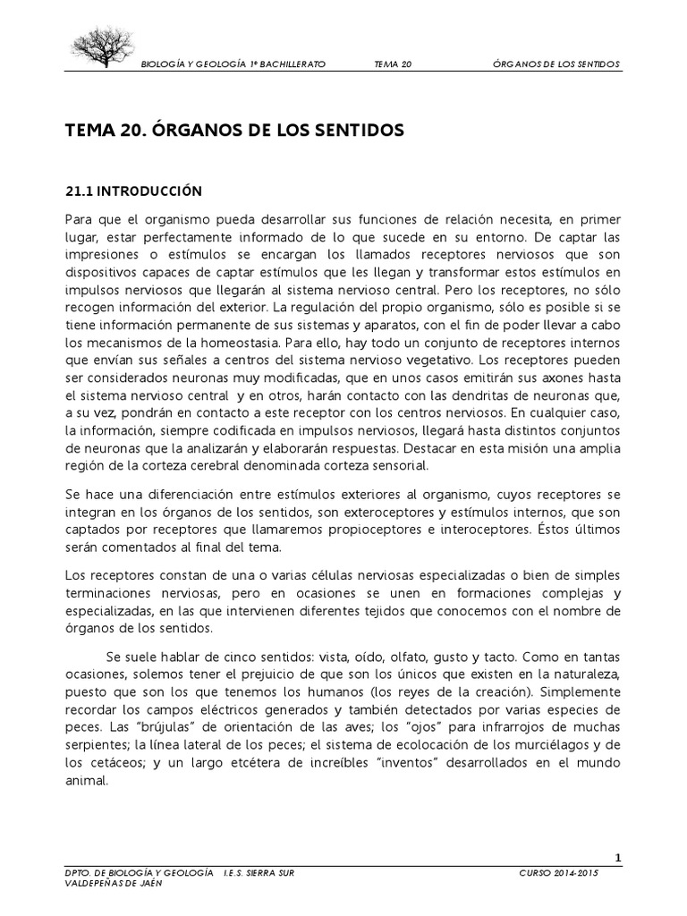 Tema 20. Organos de Los Sentidos. | PDF