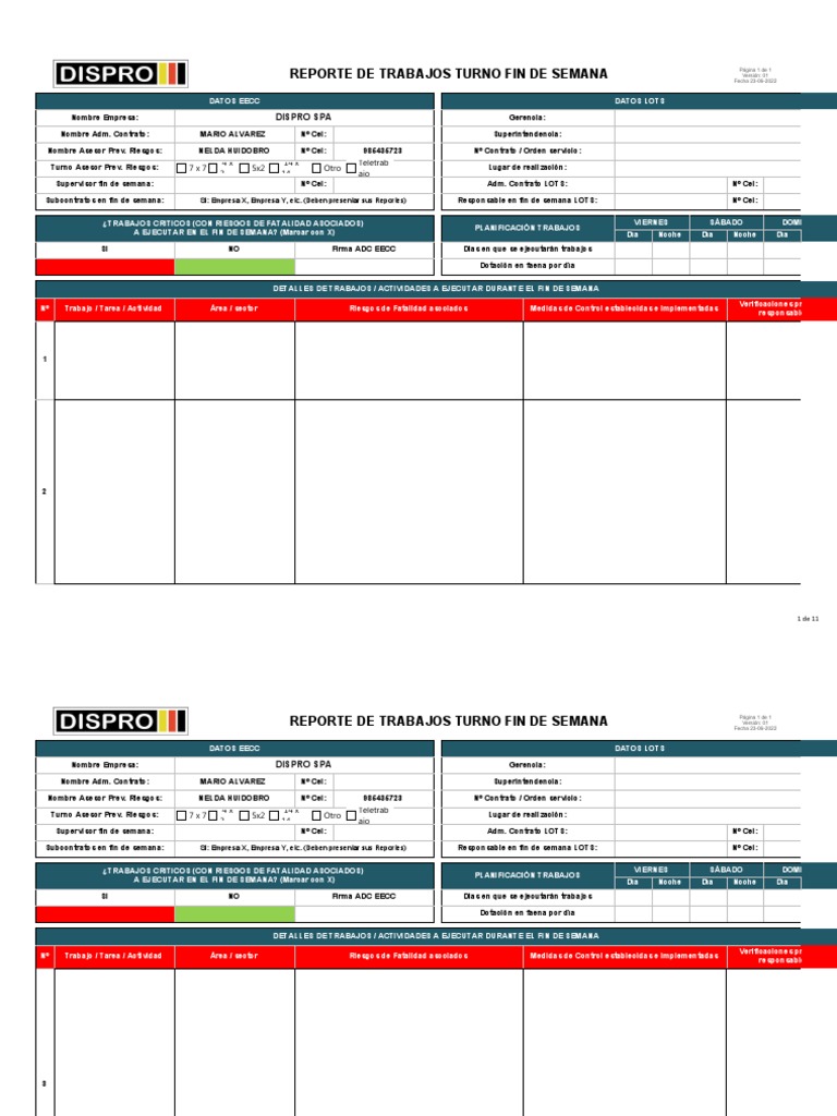 Formato Actividades Fin de Semana Dispro | PDF