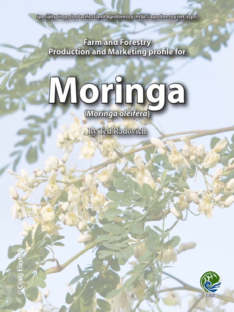 Moringa Specialty Crop | PDF | Legume | Trees