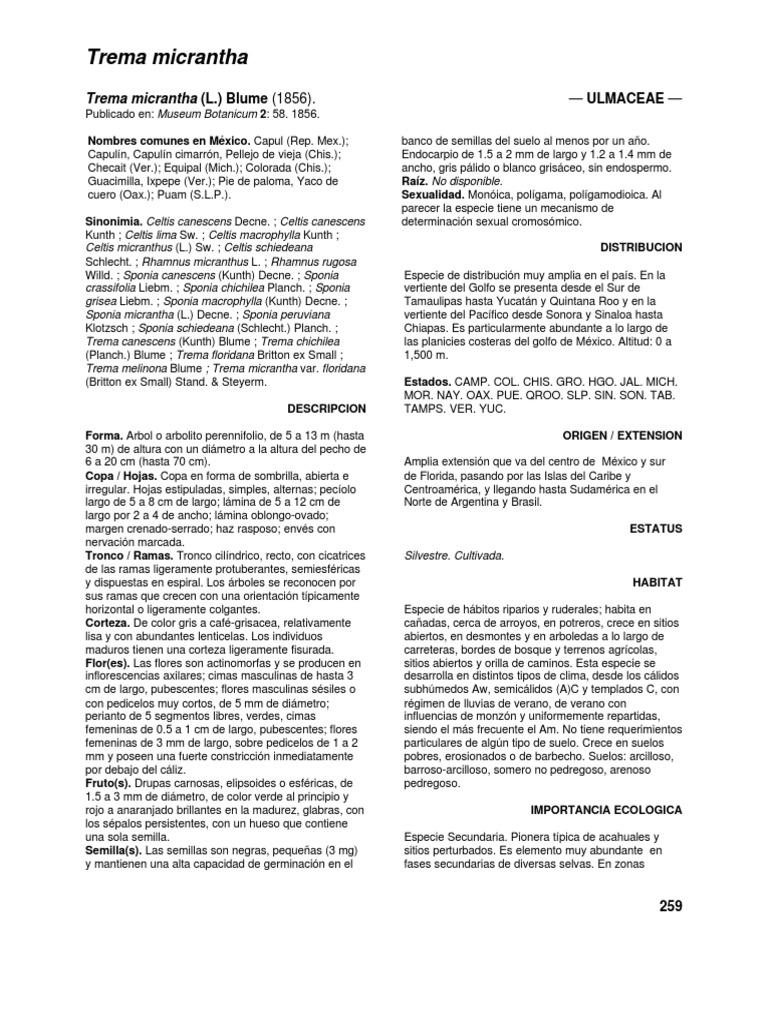 Usos y características de Trema micrantha | PDF | Organismos | Plantas