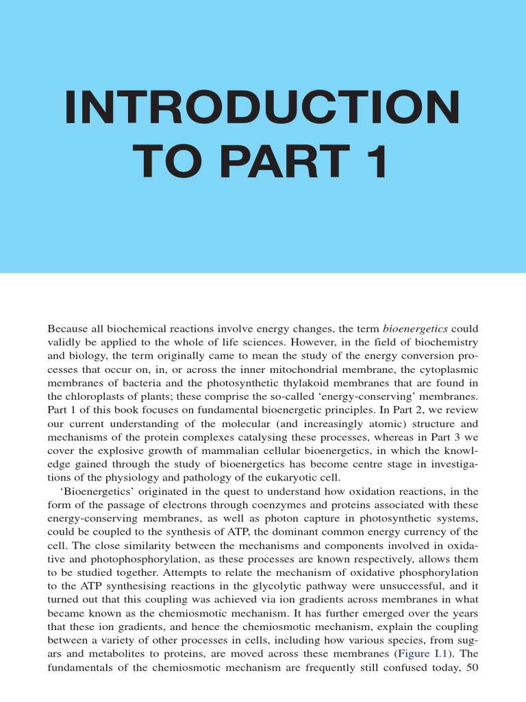 Bioenergetics Nicholls 4th Ed. Intro To CHPT 1 | PDF | Bioenergetics ...