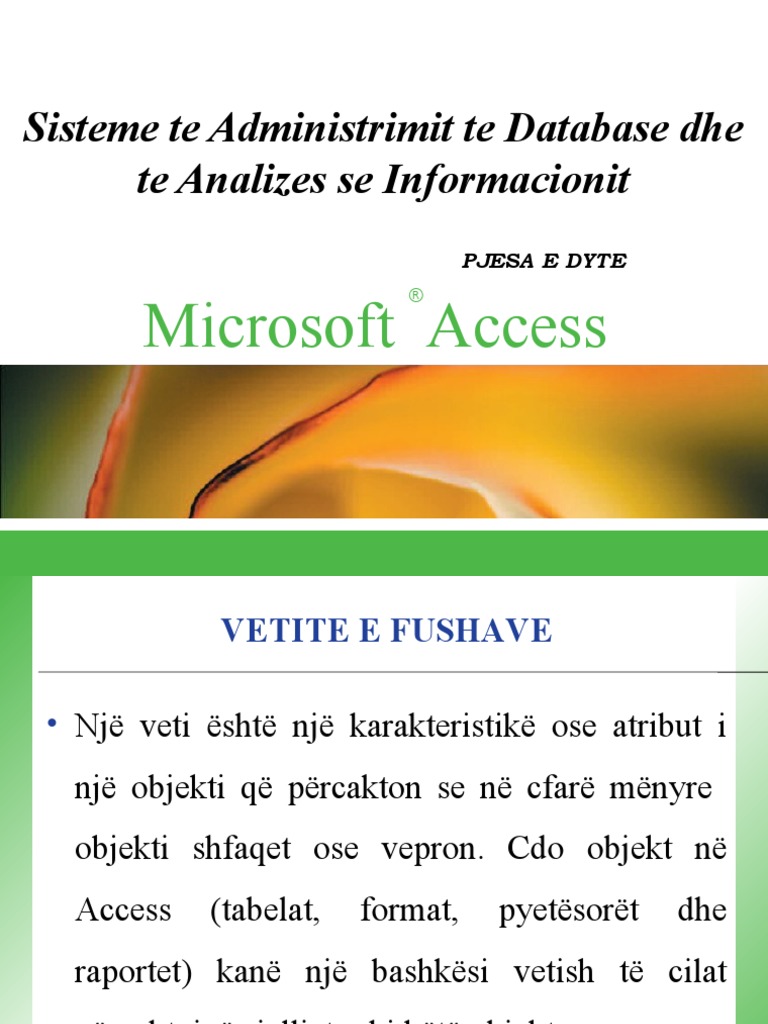 02 - Leksion - Tabelat Ne Access | PDF