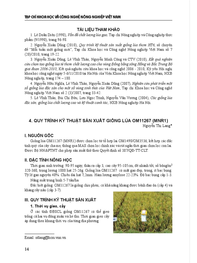 KN4 0 | PDF
