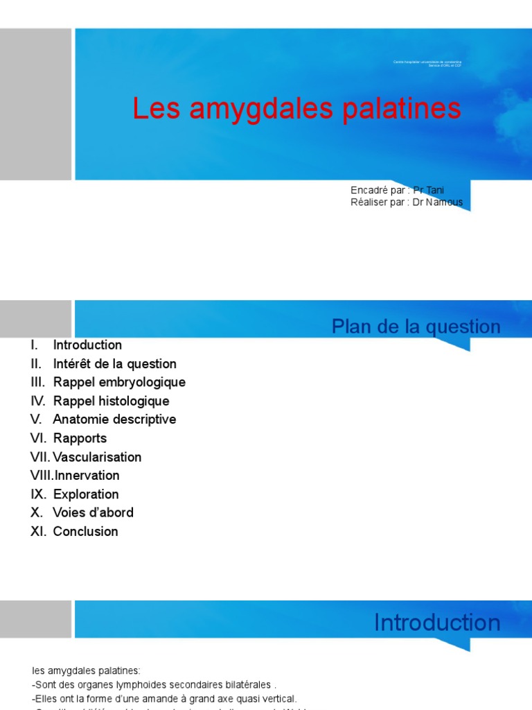 Amygdales Palatines | PDF | Langue | Anatomie humaine