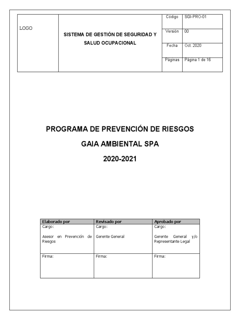 Programa de Prevencion Riesgos | PDF | Seguridad y salud ocupacional | Riesgo