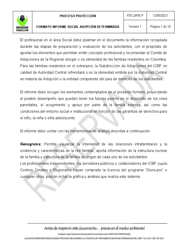 Informe Social para Adopción Determinada | PDF | Salud y bienestar