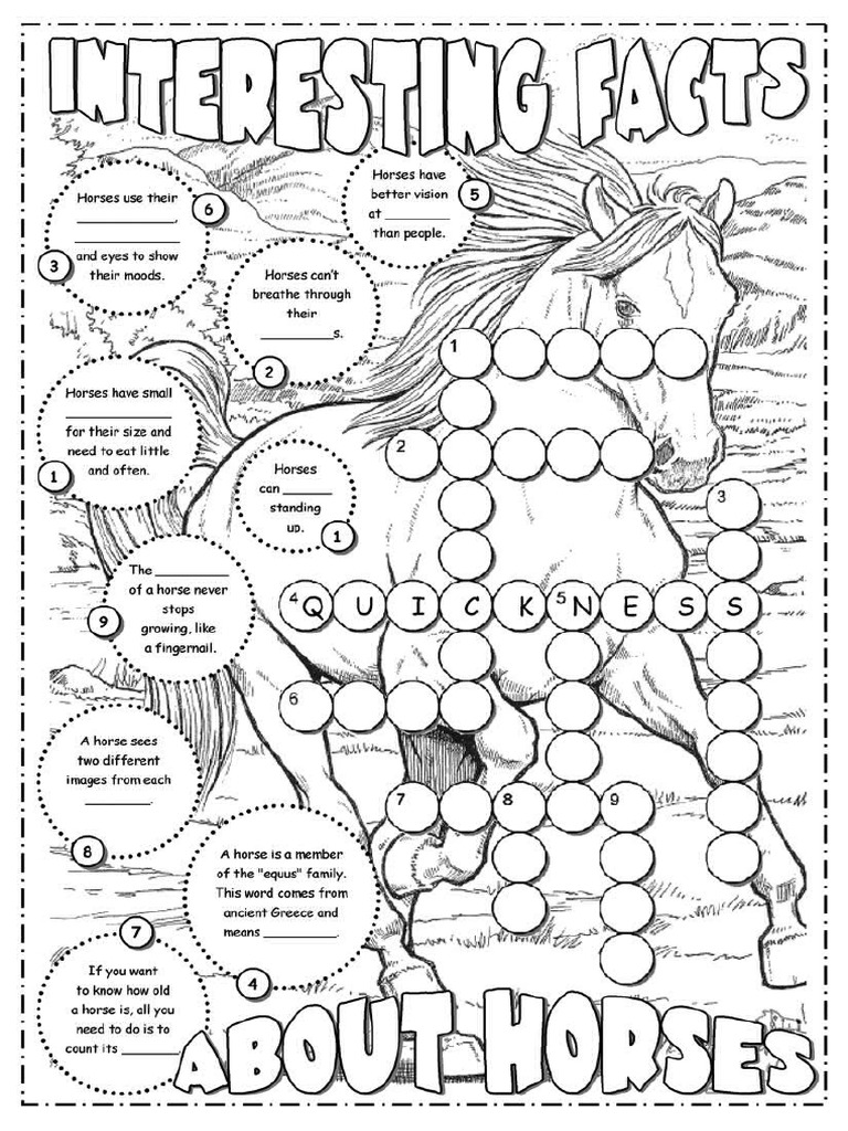 Interesting Facts About Horses | PDF