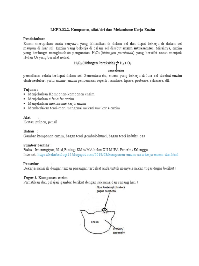 LKPD Enzim 1 | PDF