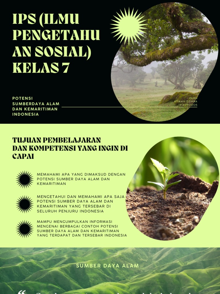 Ips Potensi Sumber Daya Alam Dan Kemaritiman Indonesia | PDF