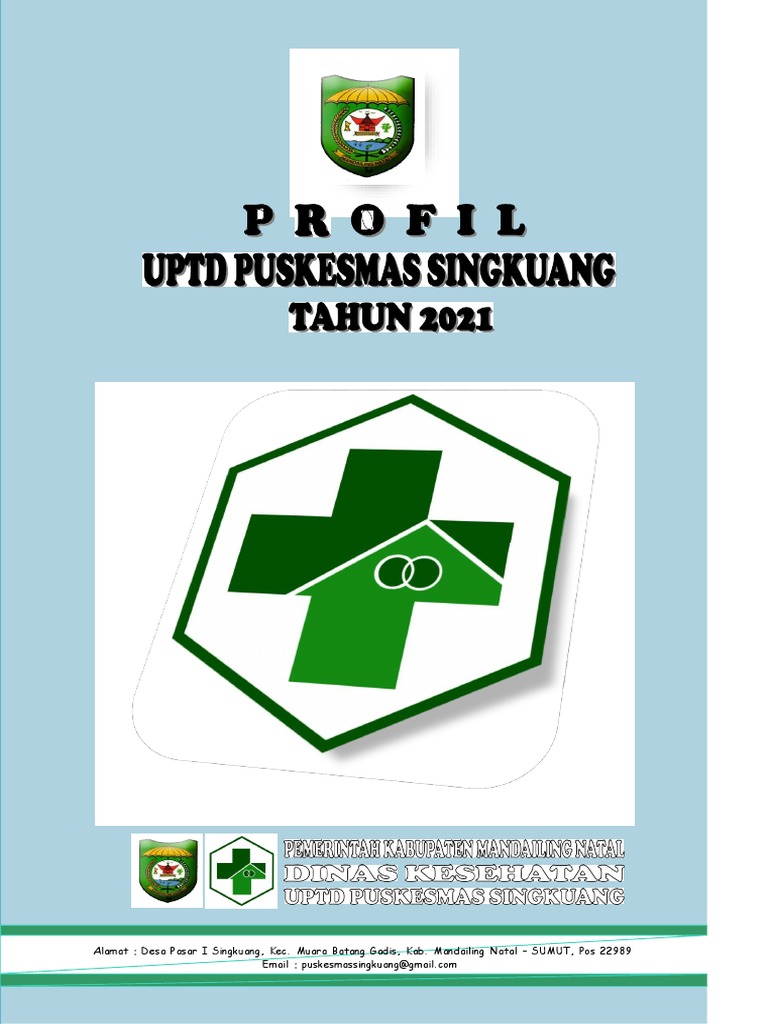 Profil Kesehatan Puskesmas 2021 | PDF