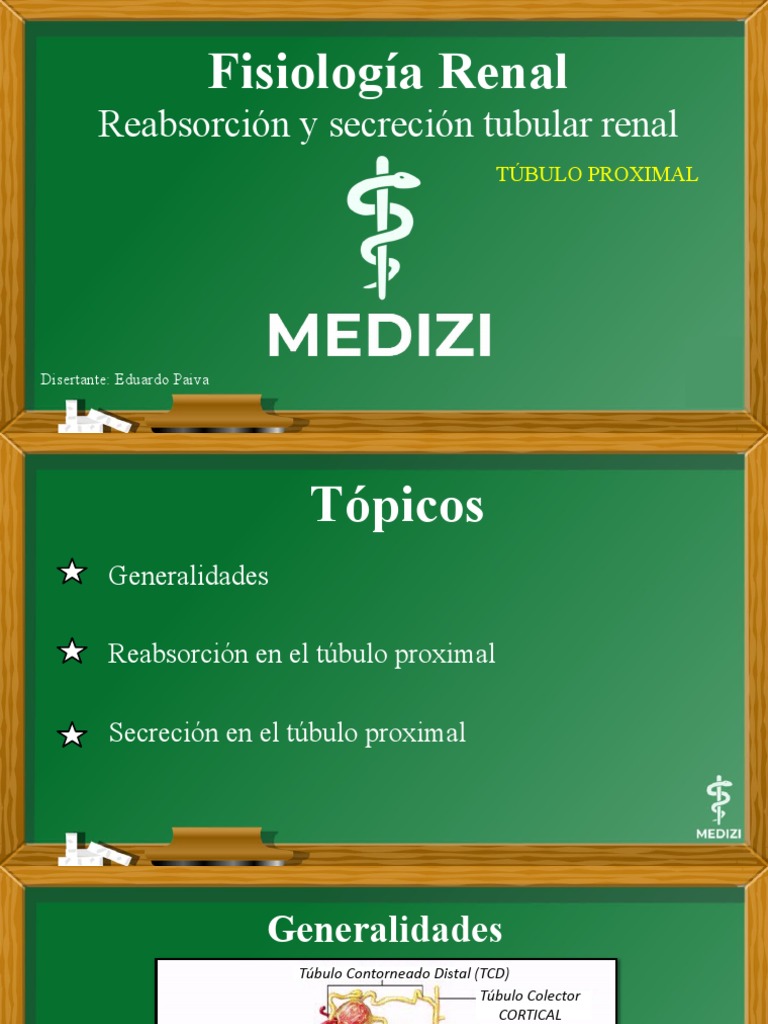 60 Fisiología Renal - Reabsorción y Secreción (Tubulo Proximal) | PDF ...