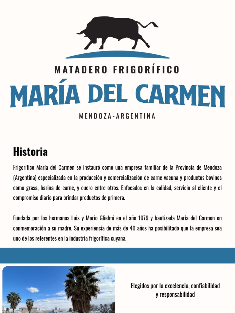 Presentacion Maria Del Carmen | PDF