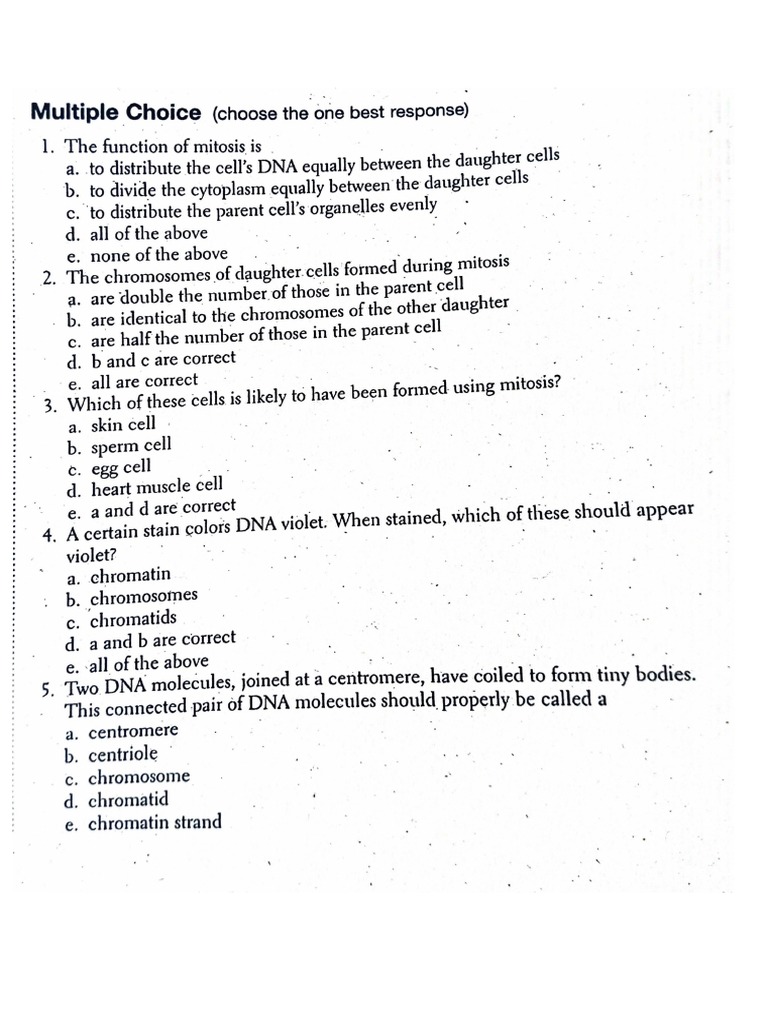 Lab 1 Pdf