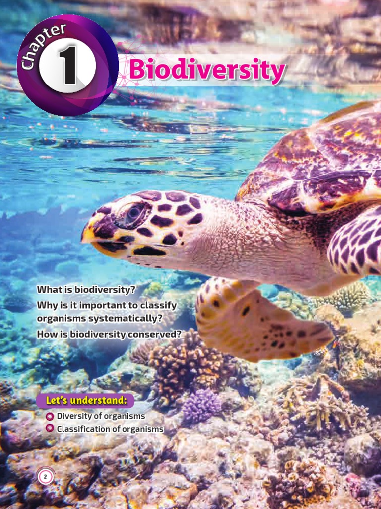 Science - Form - 2 1 27 10 27 | PDF | Biodiversity | Invertebrate