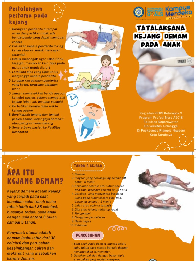 Leaflet-Pkrs 2 | PDF