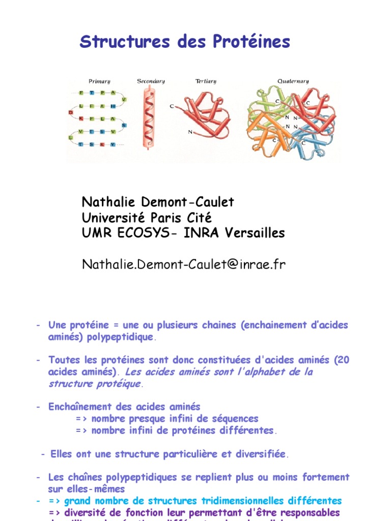 Structures secondaires des protéines | PDF | Feuillet bêta | Protéines