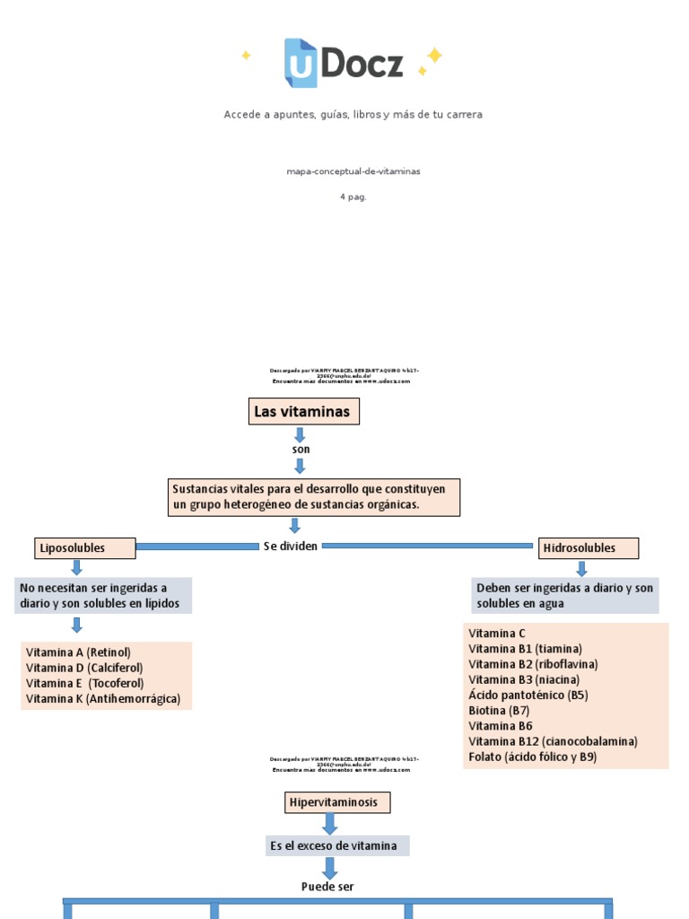 Mapa Conceptual de Vitaminas 91489 Downloable 2456080 | PDF | Vitamina | Vitamina D