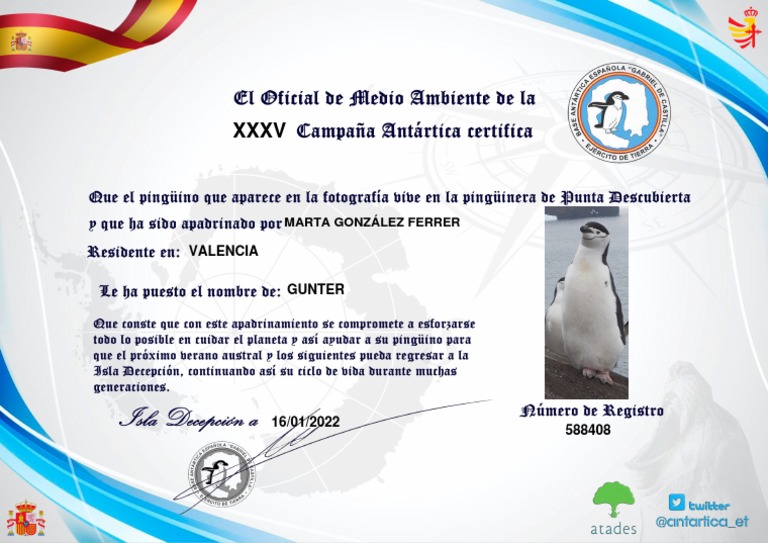 Diploma Pingüino | PDF
