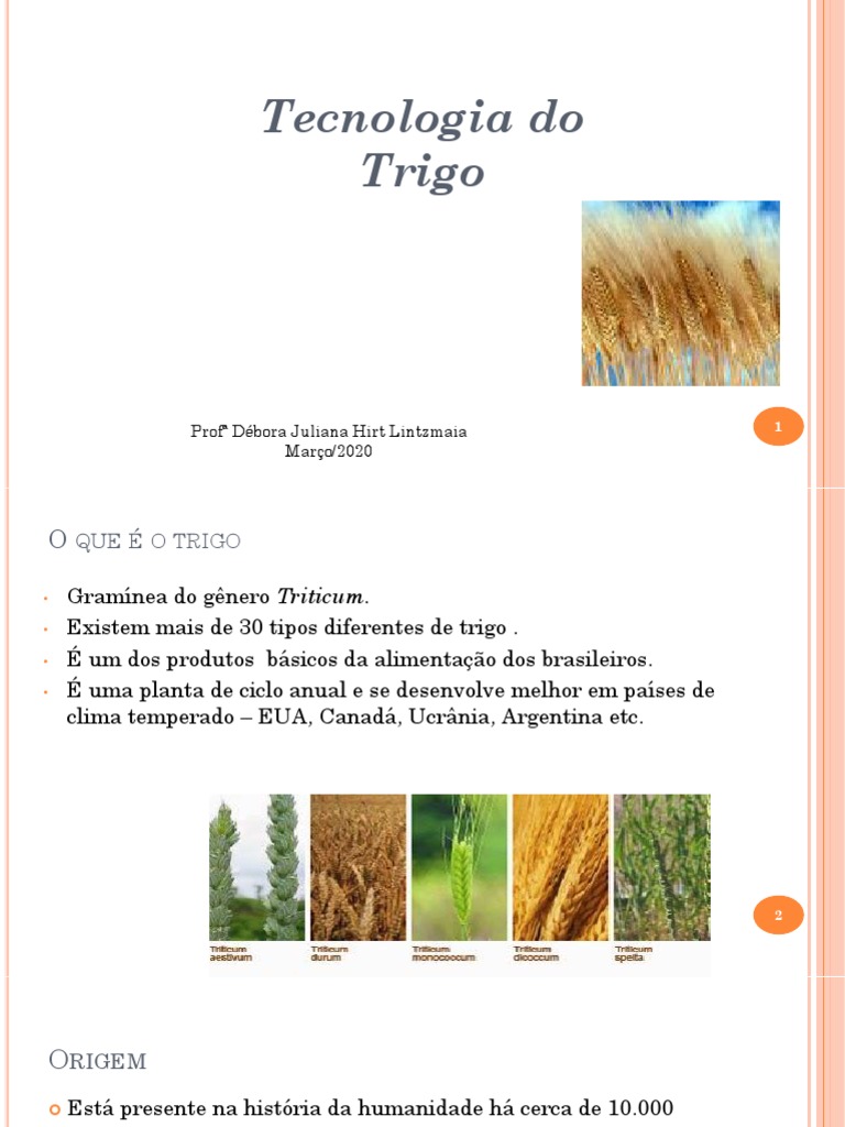 Aula 4 - Tecnologia Do Trigo | PDF | Trigo | Pães