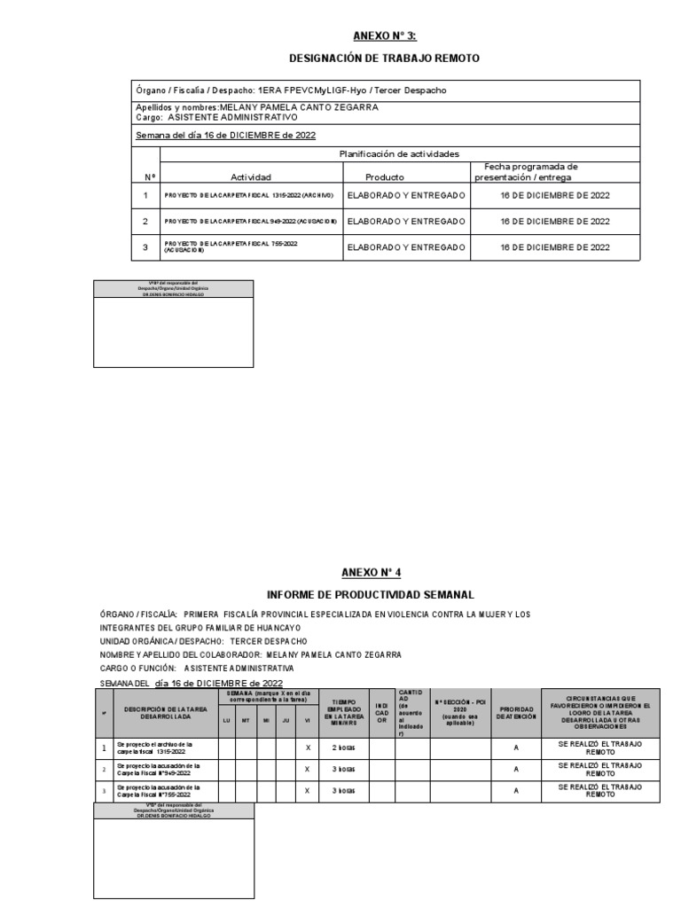 Formato Anexo 3 y 4 | PDF