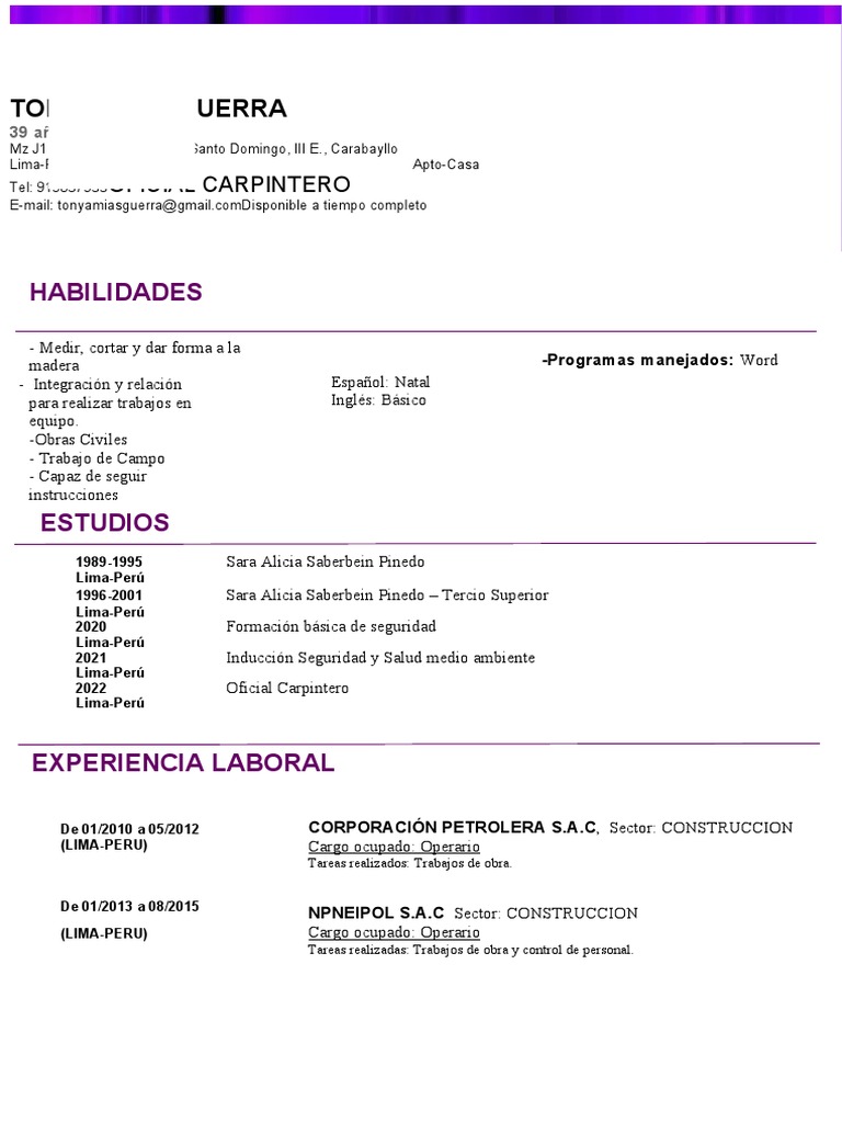 Cv-Tony Amias Guerra | PDF