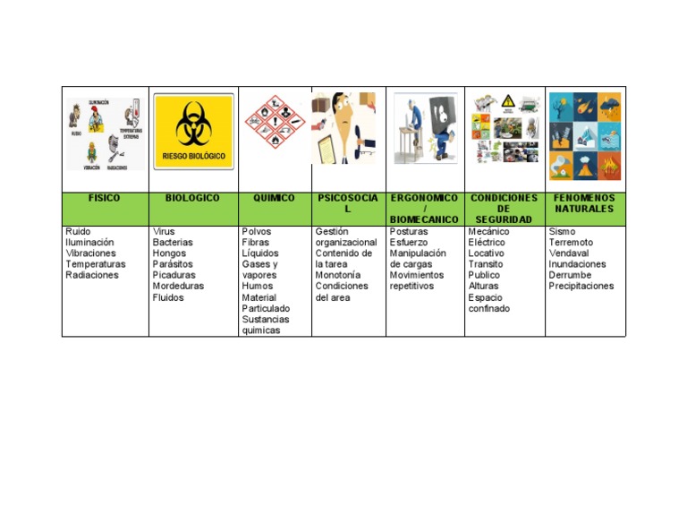 Factores de Riesgo Laboral | PDF