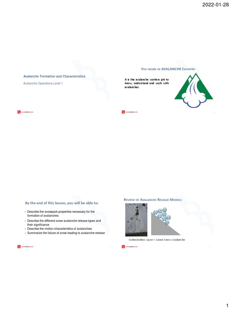 Avalanche Formation and Characteristics | PDF | Snow | Forms Of Water