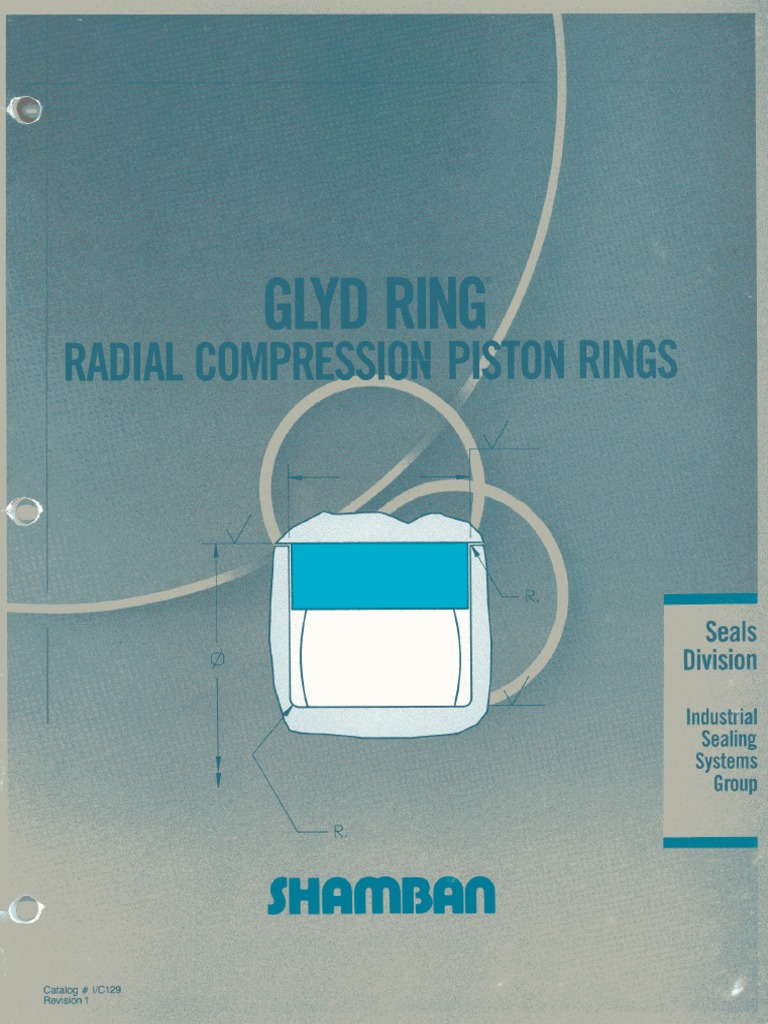 Busakshamban Glyd Ring Piston Rings Product Catalogue Series S48044 | PDF