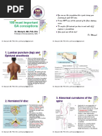 100 Gross Anatomy Concepts | PDF | Foot | Ankle