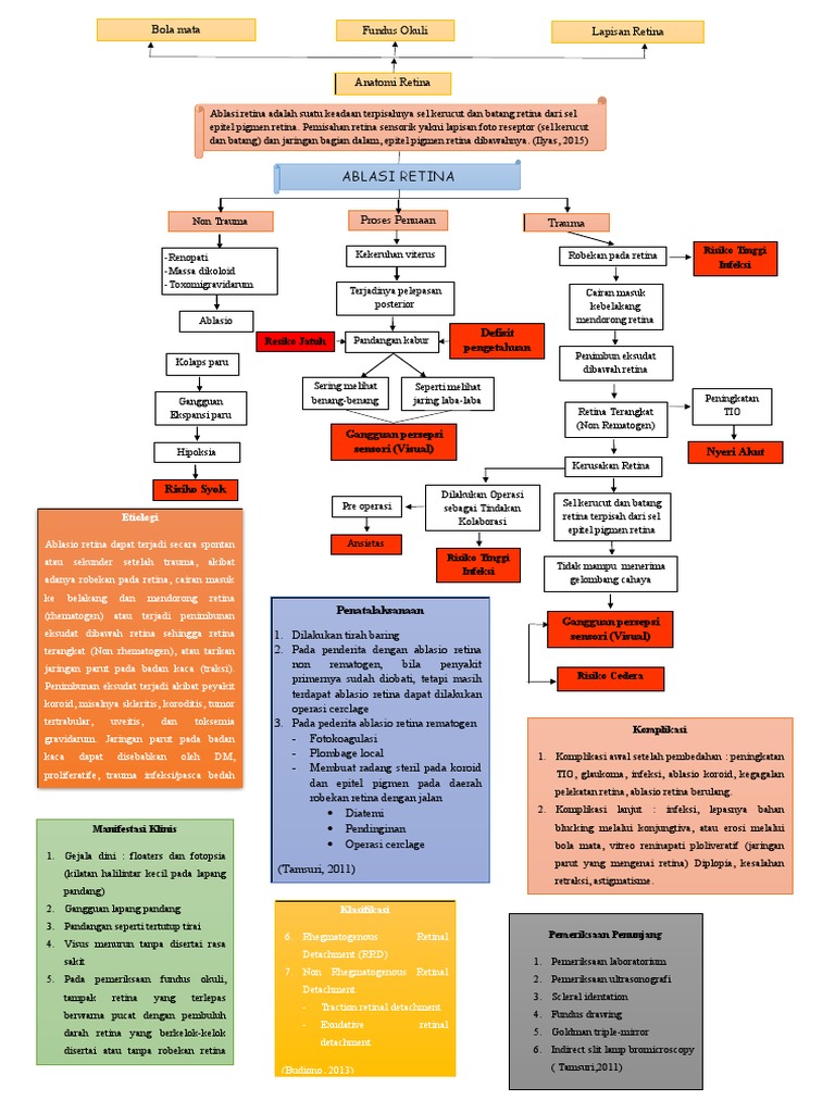 Woc Ablasio Retina | PDF