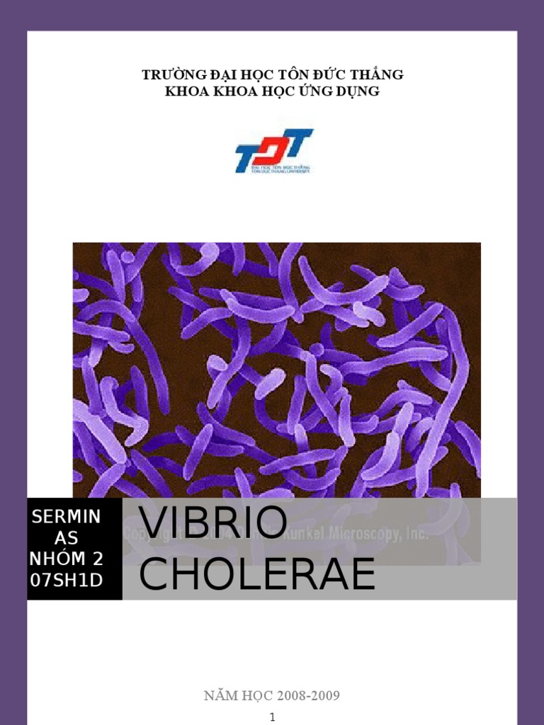 Vibrio Cholerae | PDF