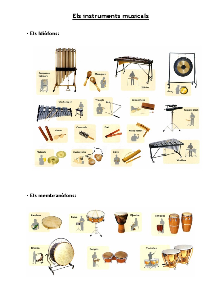 Els Instruments Musicals (IMATGES) | PDF