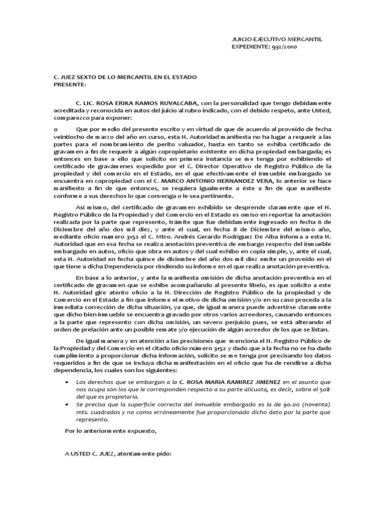 Solicito Requerimiento A RPP | PDF