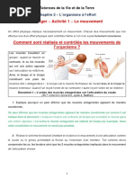 Dissection virtuelle du système nerveux de la grenouille | PDF | Nerf ...