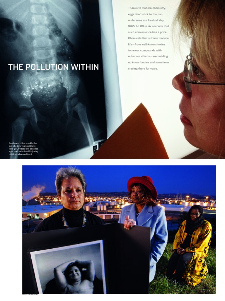 The Pollution Within - National Geographic | PDF | Polychlorinated ...