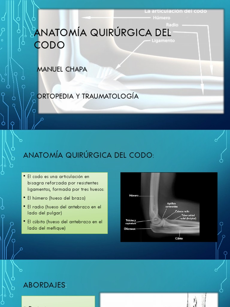 Anatomía Quirúrgica Del Codo Diapos | PDF | Codo | Anatomía